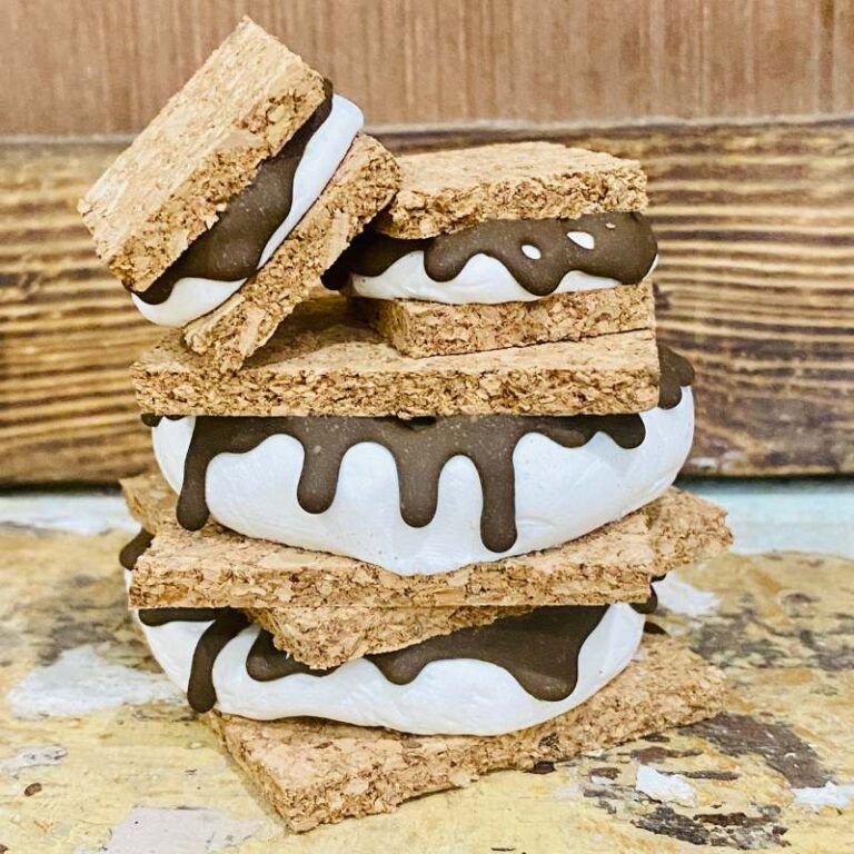 Smores Workshop - Print Cut Craft